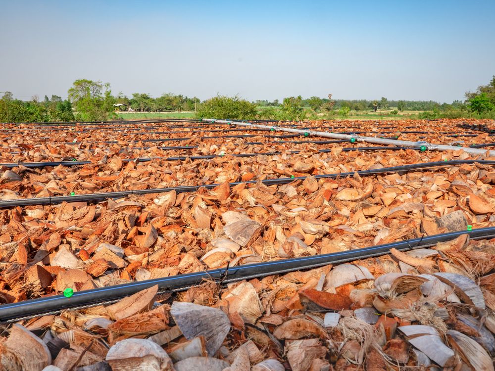 Instalar biofiltros o biocubiertas en los vertederos - CH4 Pathways